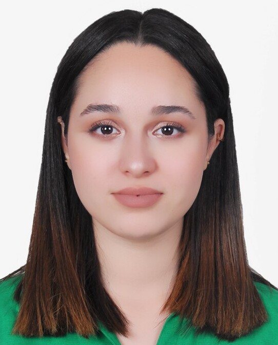 Cv Gamal Hibat-Allah